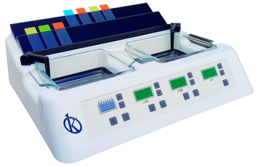 What is pathological anatomy? - Kalstein